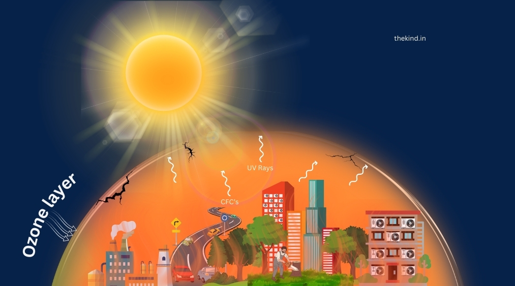 Understanding the Unusual Heatwave of 2024: Factors Behind the Record ...